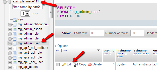 Magento Tutorial Reset Admin Password Fastcomet